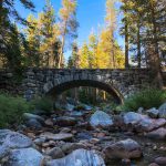 river under bridge at sequoia national park - Le Wild Explorer