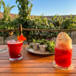 la justina cocktails valle de guadalupe - Le Wild Explorer