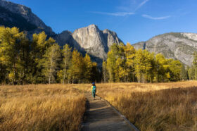 Best Things to Do in Oakhurst, CA - Le Wild Explorer