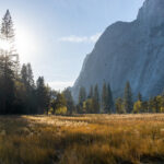 yosemite national park sentinel meadow - Le Wild Explorer